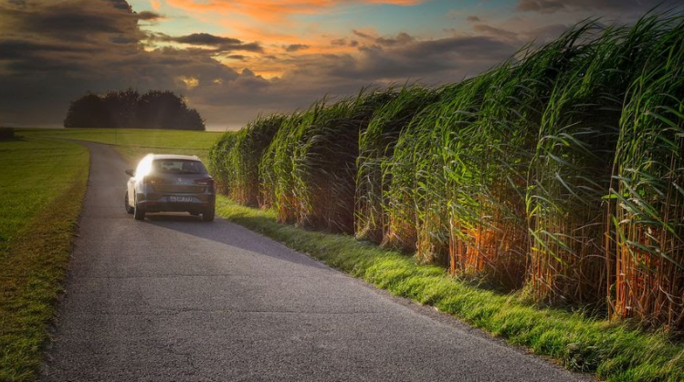 Great Ways To Escape Your Screen This Week - The Geek Lyfe