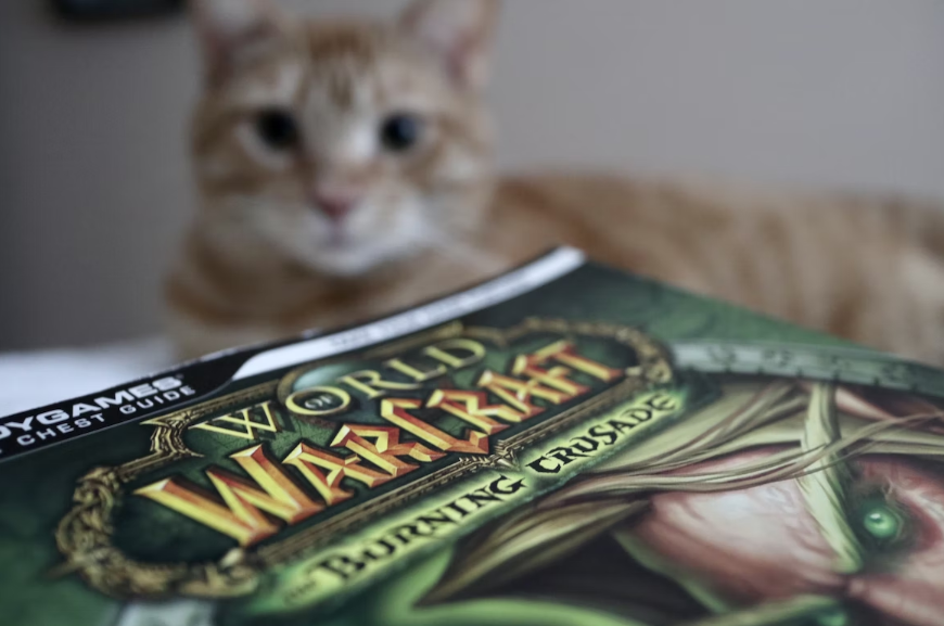 4 Quick Ways to Level Up in World of Warcraft - The Geek Lyfe